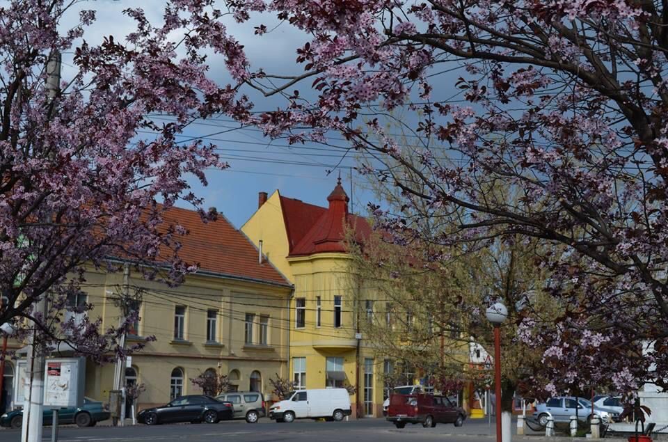 Târg de Antichități la Seini – Maramures Online