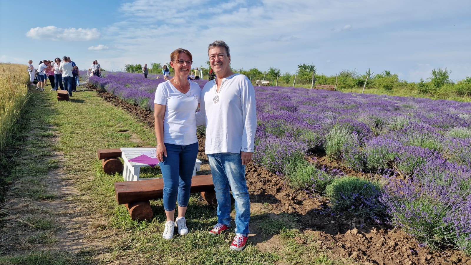 Florin Chilian, concert de ZECE la Lavanda Land din Ardud – Maramures ...