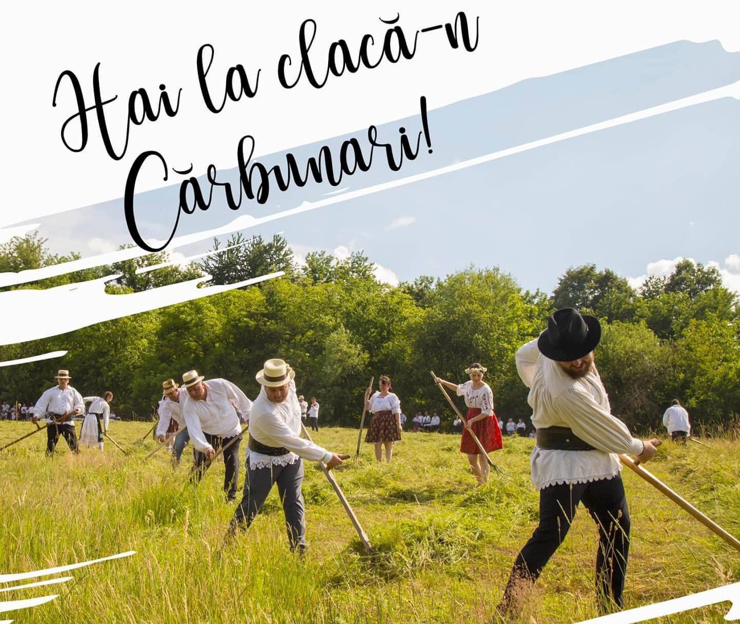 Clacă de coasă în Cărbunari Maramureș de Rusalii – Maramures Online