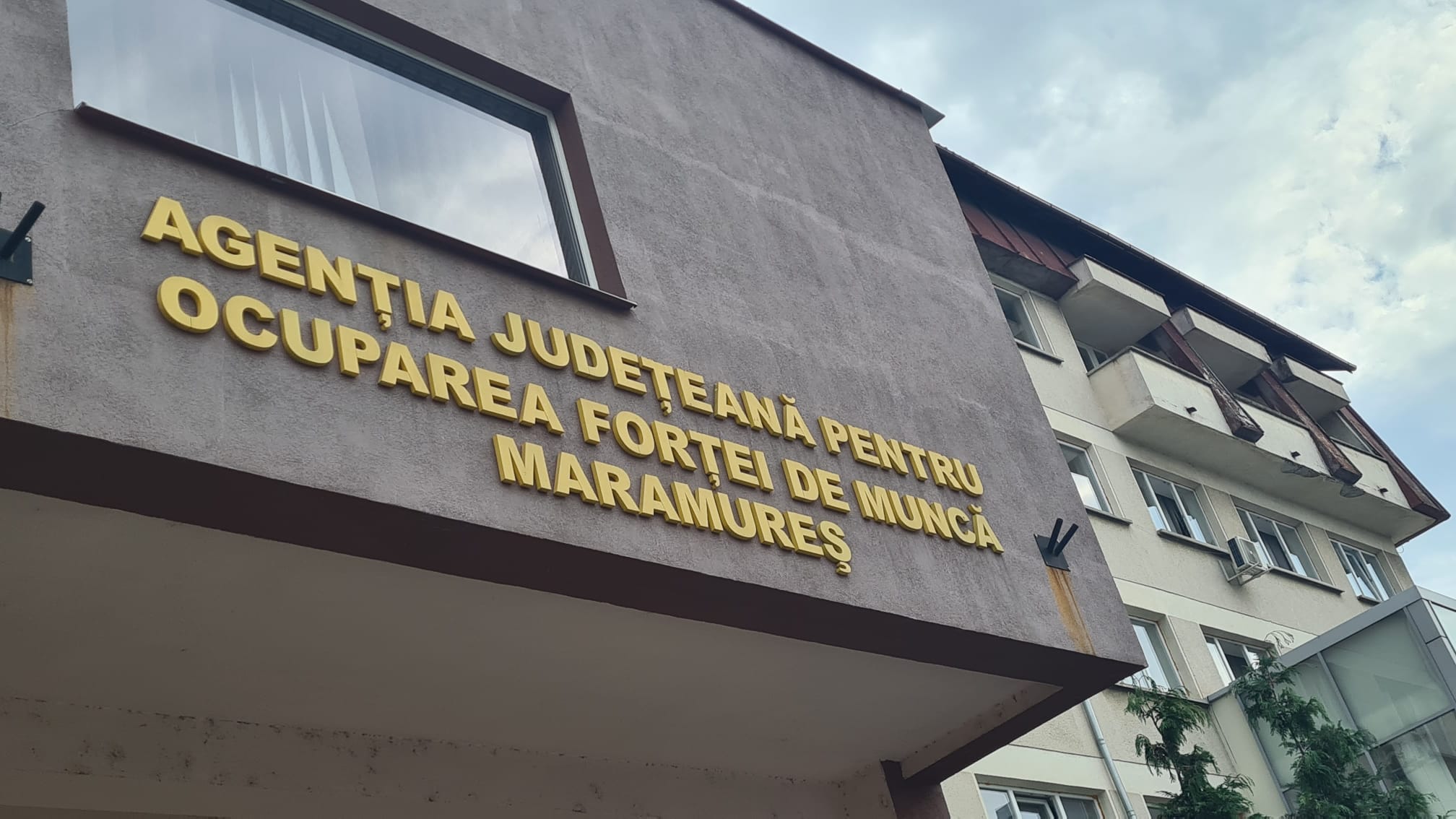 ANOFM pune la dispoziția angajatorilor Platforma Servicii Online ...