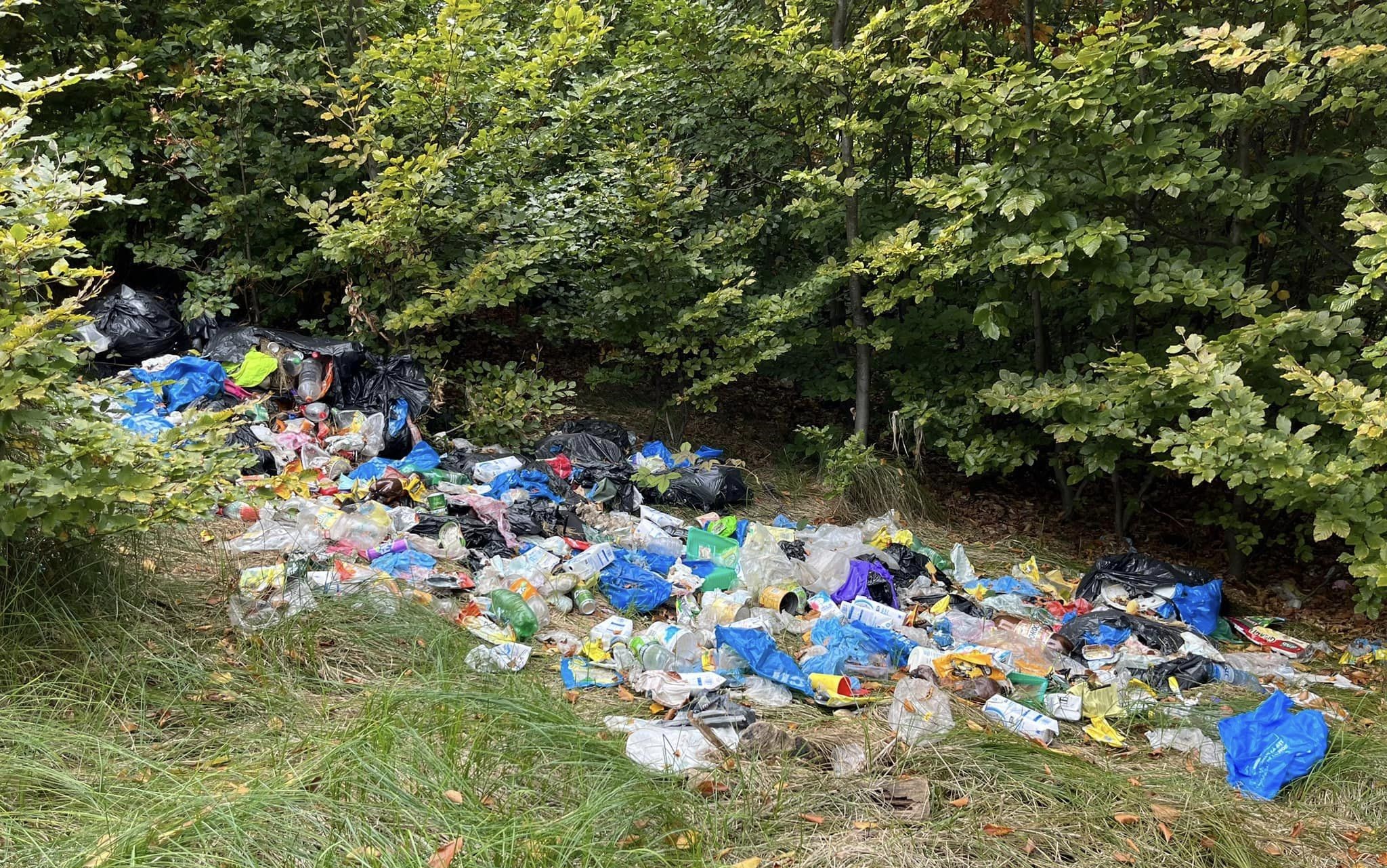 Ignişul nu e groapa de gunoi a nimănui! Cine şi cât primeşte şpagă ca ...