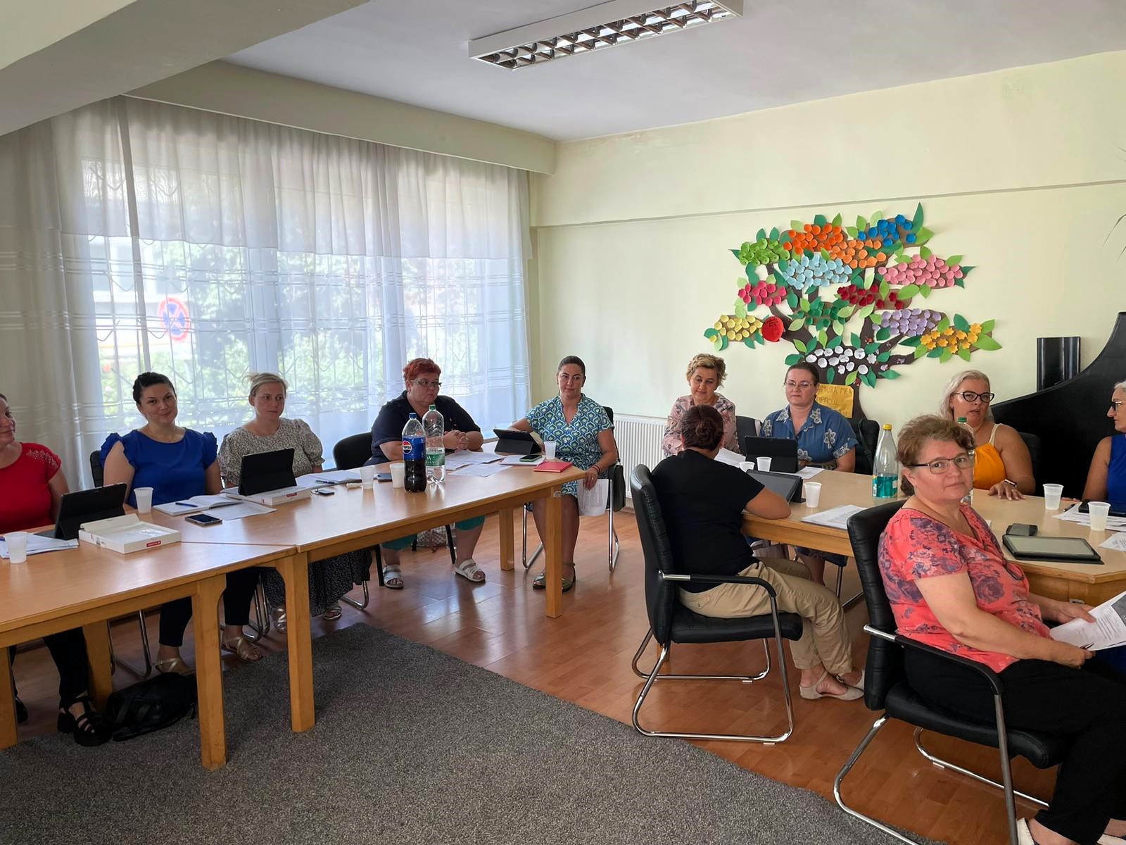 Întâlnire de lucru cu primăriile din județ, organizată la sediul DGASPC ...