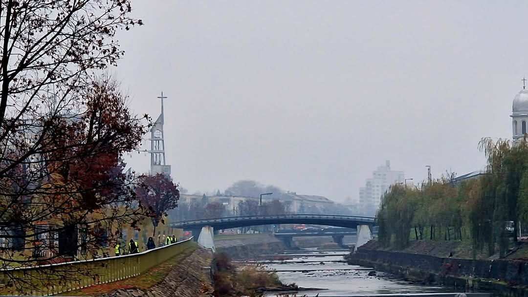 Intervenție de îndepărtare a vegetației și a deșeurilor din albia ...