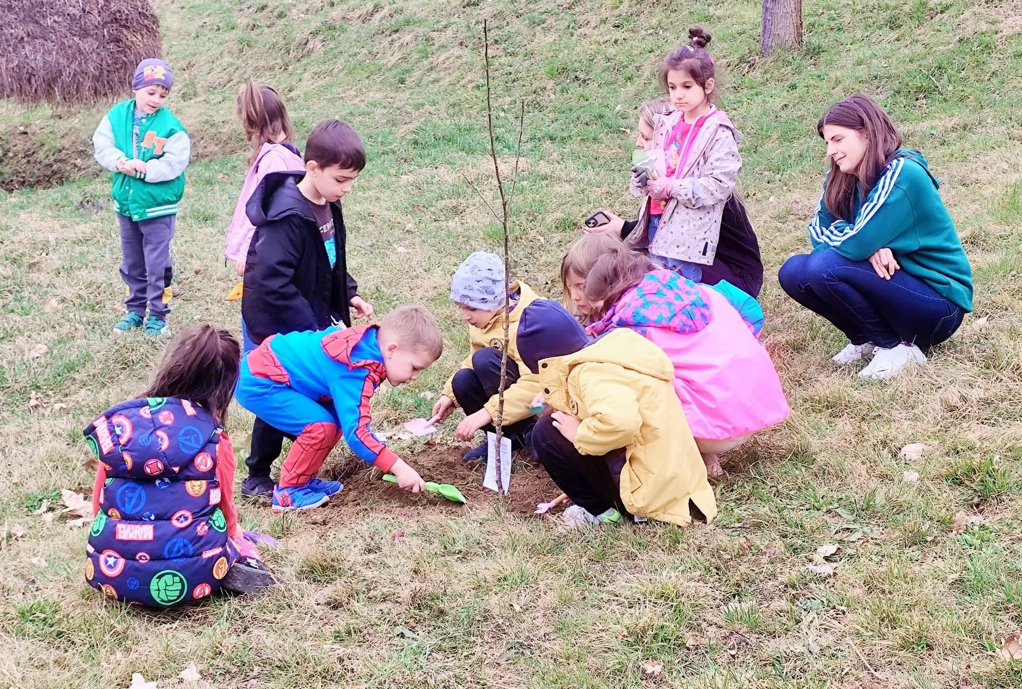 Copii de la Grădinița cu Program Prelungit Târgu Lăpuș au plantat flori ...