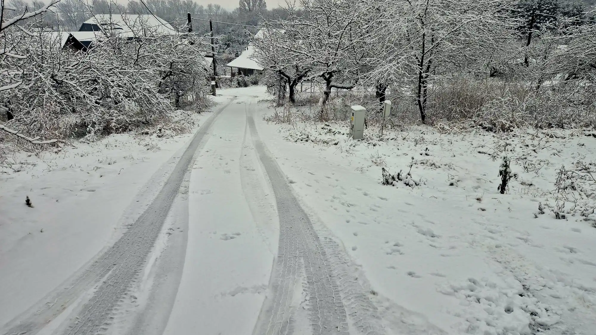 Iarnă severă în România. Ninsori, viscol și temperaturi de până la −15 ...